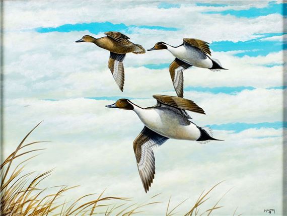 Lee Mauney | Flying Pintail Ducks | MutualArt