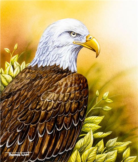Thomas Wood | Bald Eagle Bird and Cowhorn Orchard (2005) | MutualArt