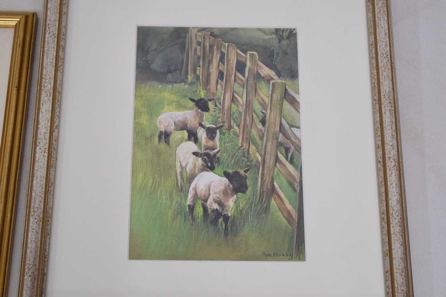 Ann Blockley | Sheep | MutualArt