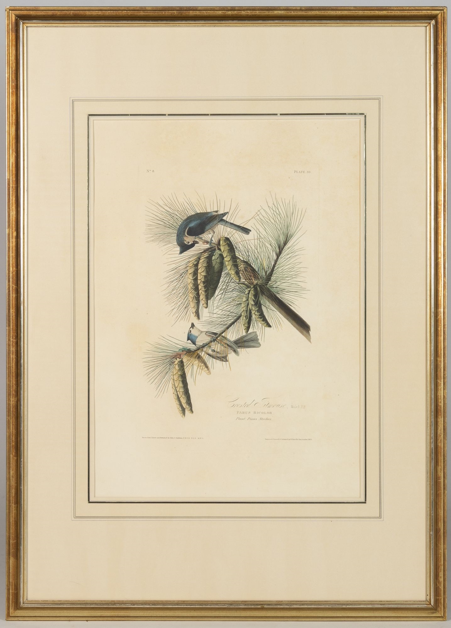 John James Audubon | Crested Titmouse Male (Circa 1828) | MutualArt
