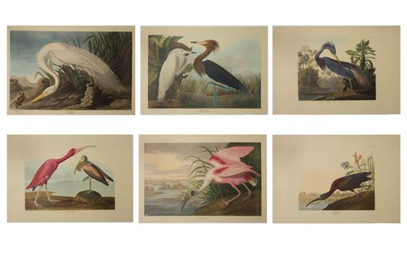John James Audubon | Group of Six Color Plates from The Birds of ...