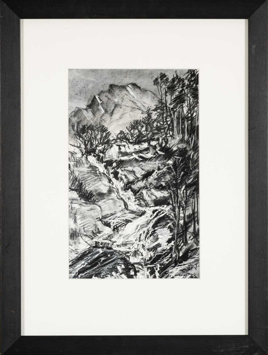 Aled Prichard Jones | Ogwen Falls | MutualArt