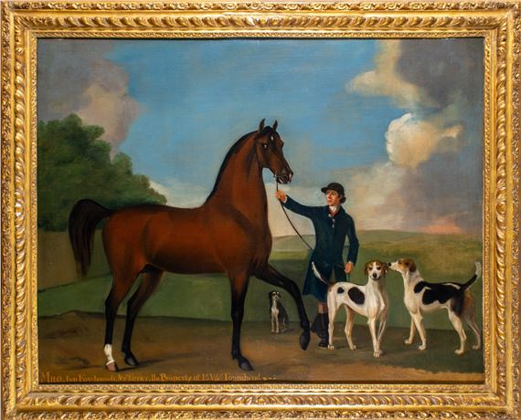Richard Roper | Portrait of the bay stallion Milo | MutualArt