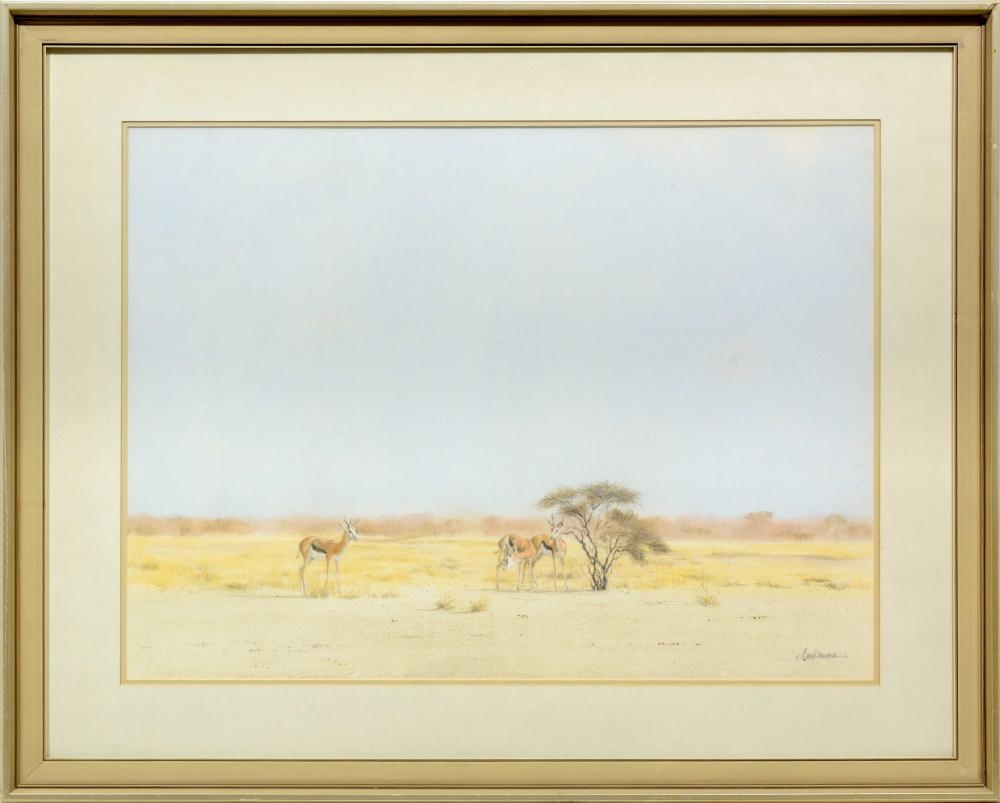 Kim Donaldson | Springbok | MutualArt