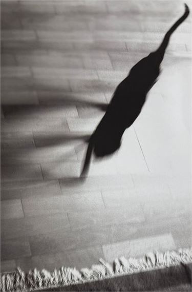 Robert Wasinger | 1 Artworks | MutualArt