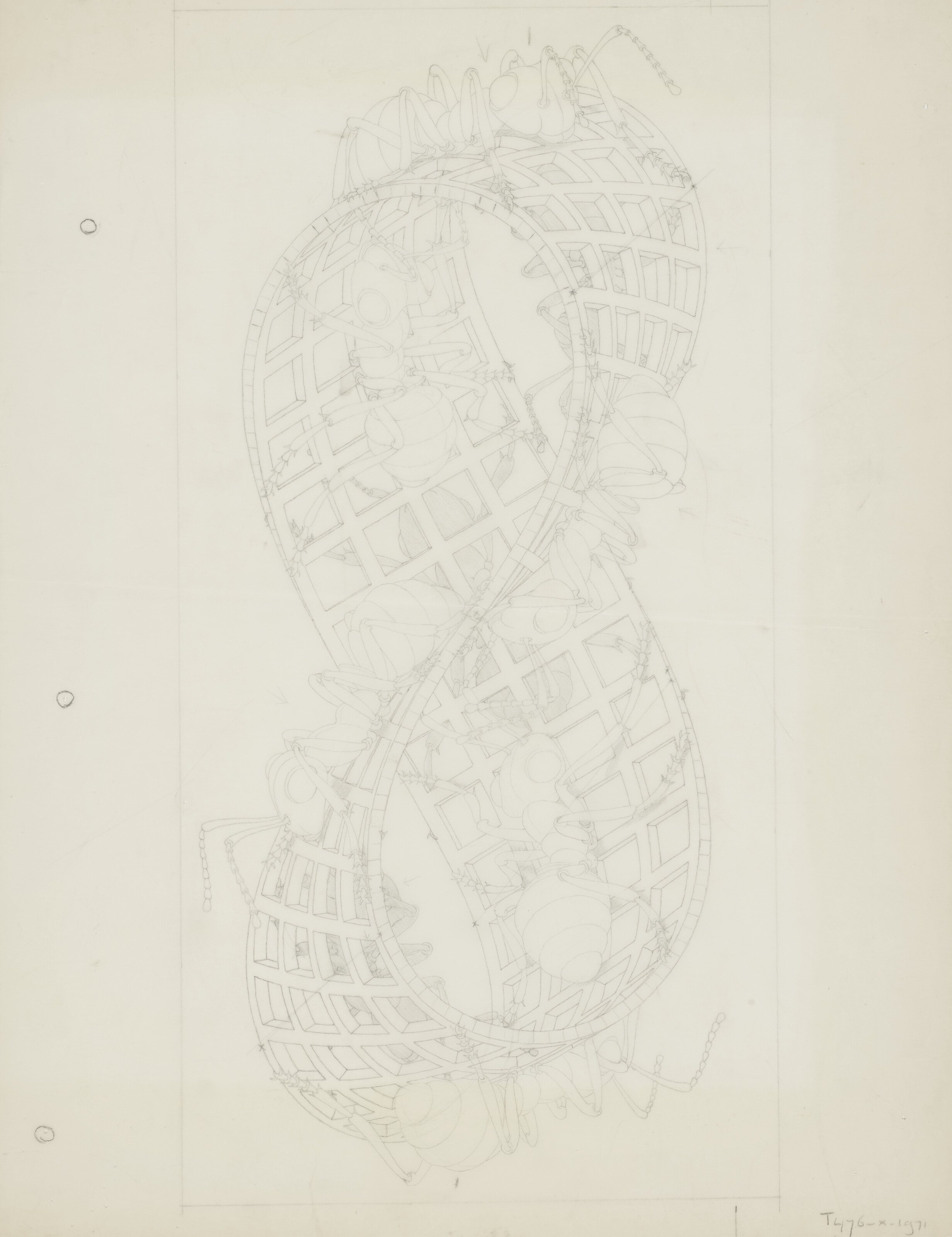 Maurits Cornelis Escher | Ant Mobius Strip (Circa 1963) | MutualArt