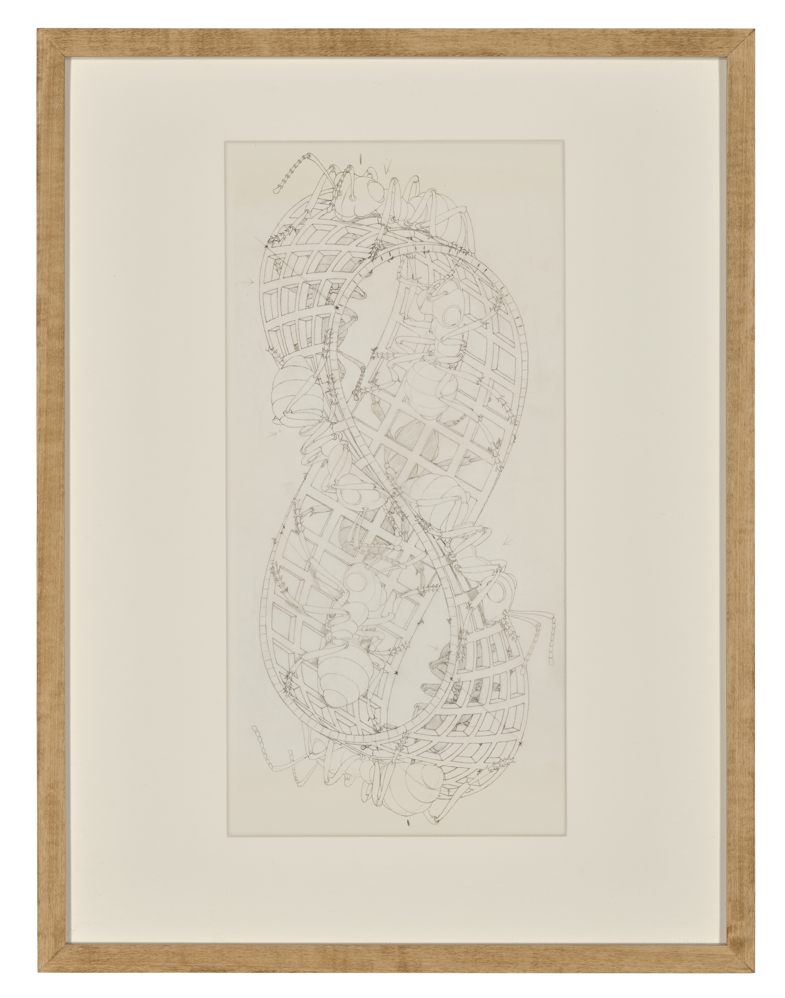 Maurits Cornelis Escher | Ant Mobius Strip (Circa 1963) | MutualArt