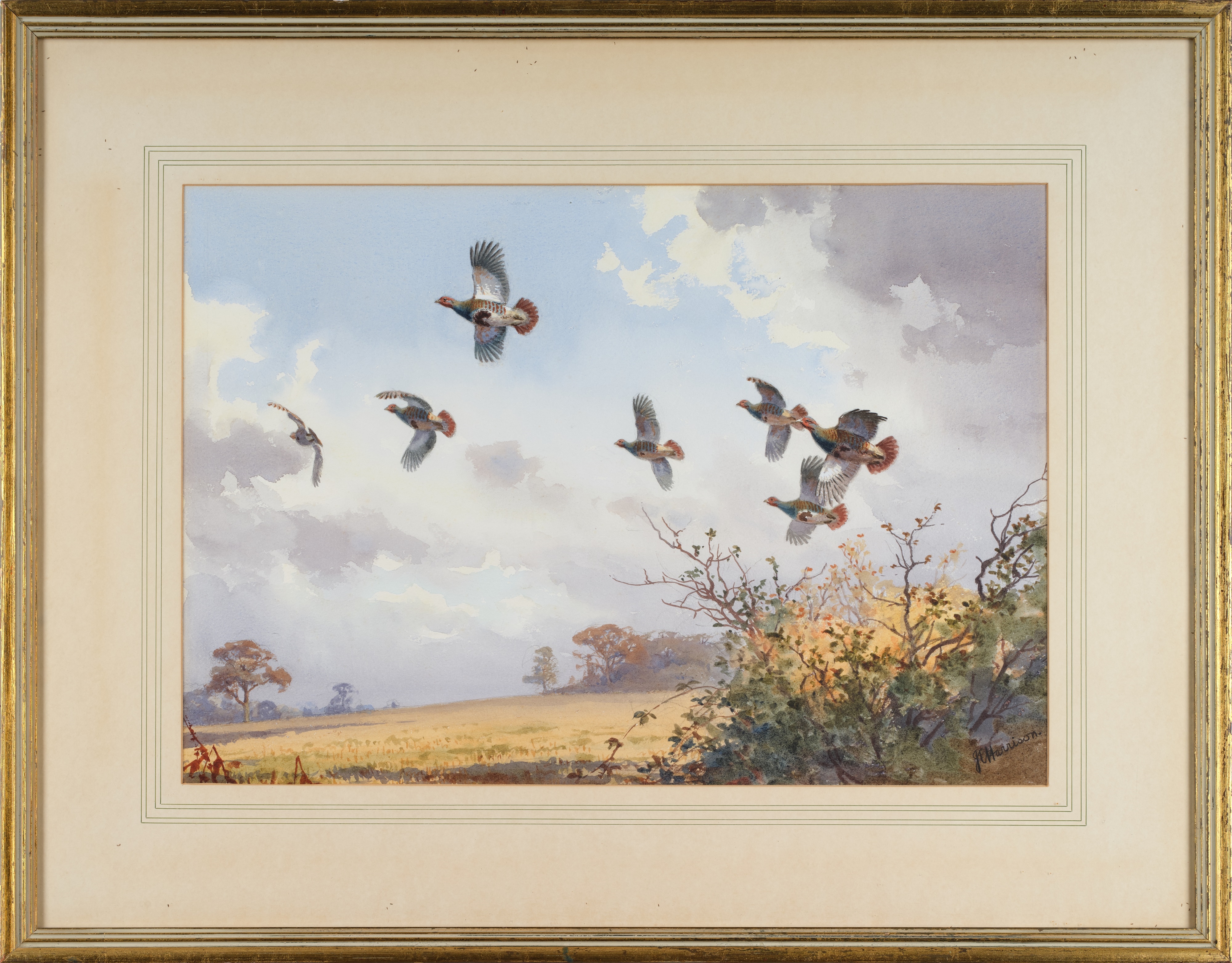 John Cyril Harrison | English Partridge in flight | MutualArt