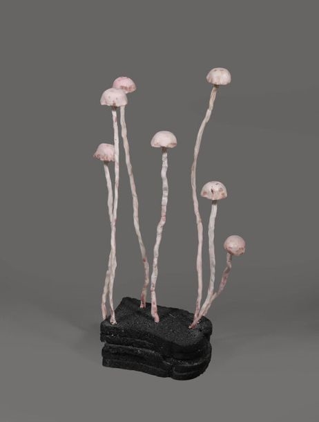 Hamish Pearch | Burnt toast Garlic Parachute (2021) | MutualArt