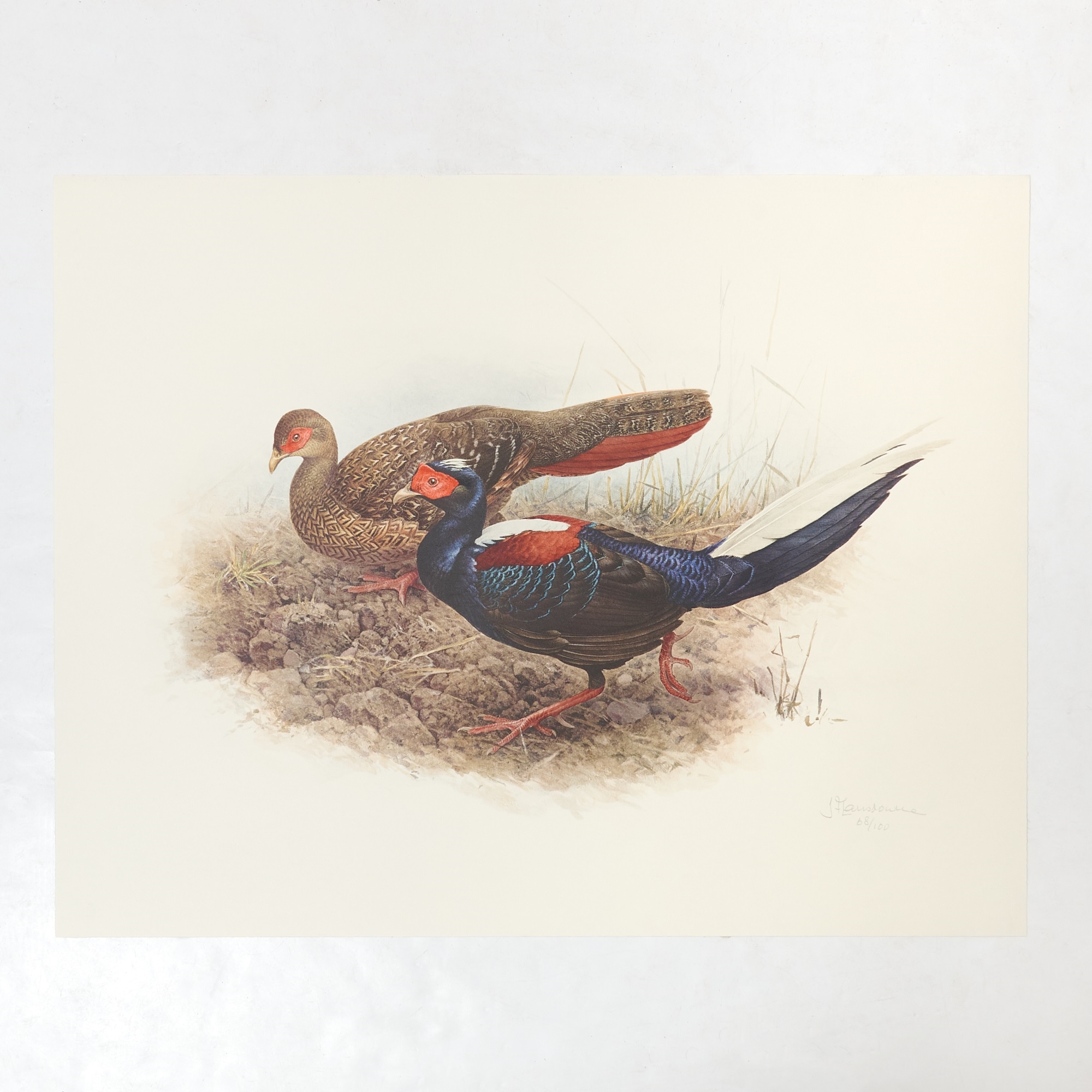 James Fenwick Lansdowne | The Rare Bird of China (1992) | MutualArt