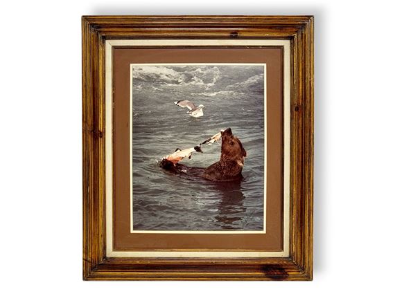 Mark Newman | Bear Fishing for Salmon | MutualArt
