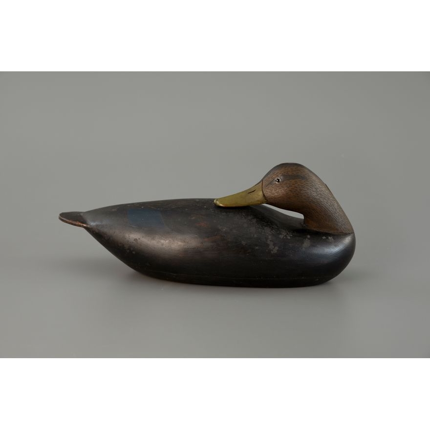 Mark McNair | STAVIS EARLY PREENING BLACK DUCK | MutualArt
