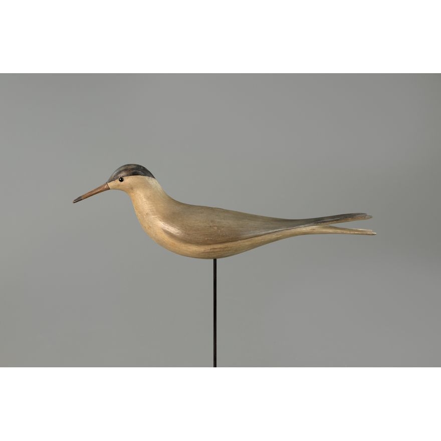 Mark McNair | STAVIS RARE EARLY TERN | MutualArt