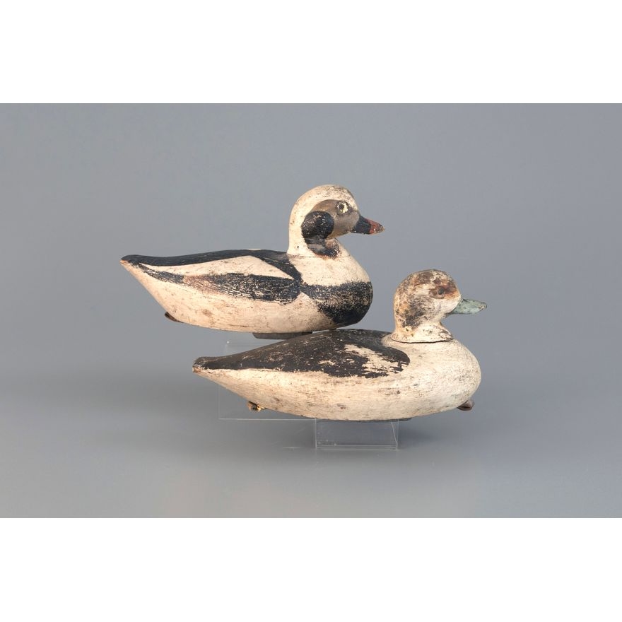 William Minor | LONG-TAILED DUCK PAIR | MutualArt