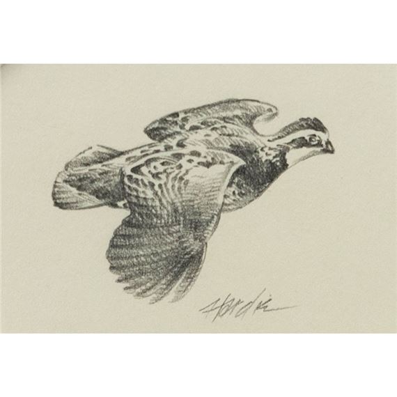 Eldridge Hardie | FLYING BOBWHITE QUAIL | MutualArt