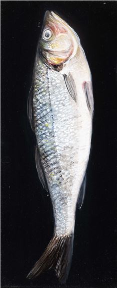 Mimi Roberts | A Collection of Five Still Life's - Fish | MutualArt