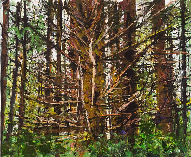 Gordon Appelbe Smith | Old Growth Forest (2005) | MutualArt