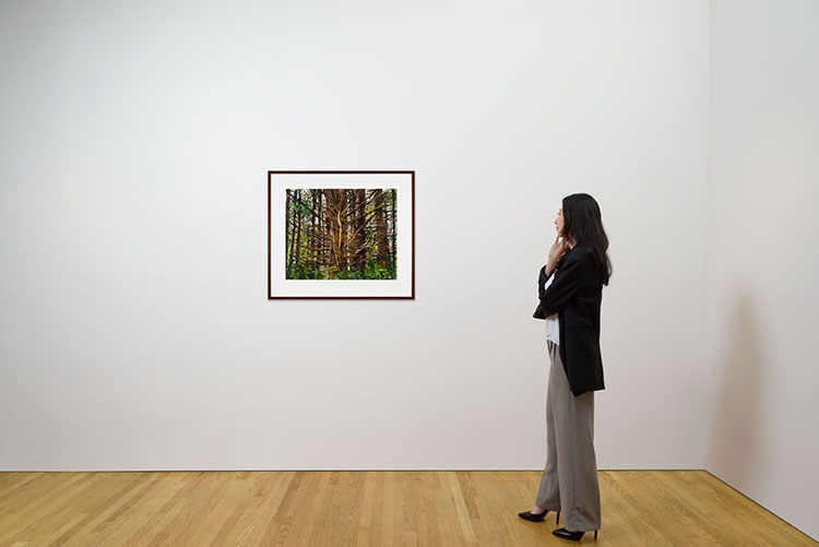 Gordon Appelbe Smith | Old Growth Forest (2005) | MutualArt