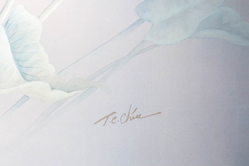 Tan Chun Chiu | untitled (decorative display of Calla lillies) | MutualArt