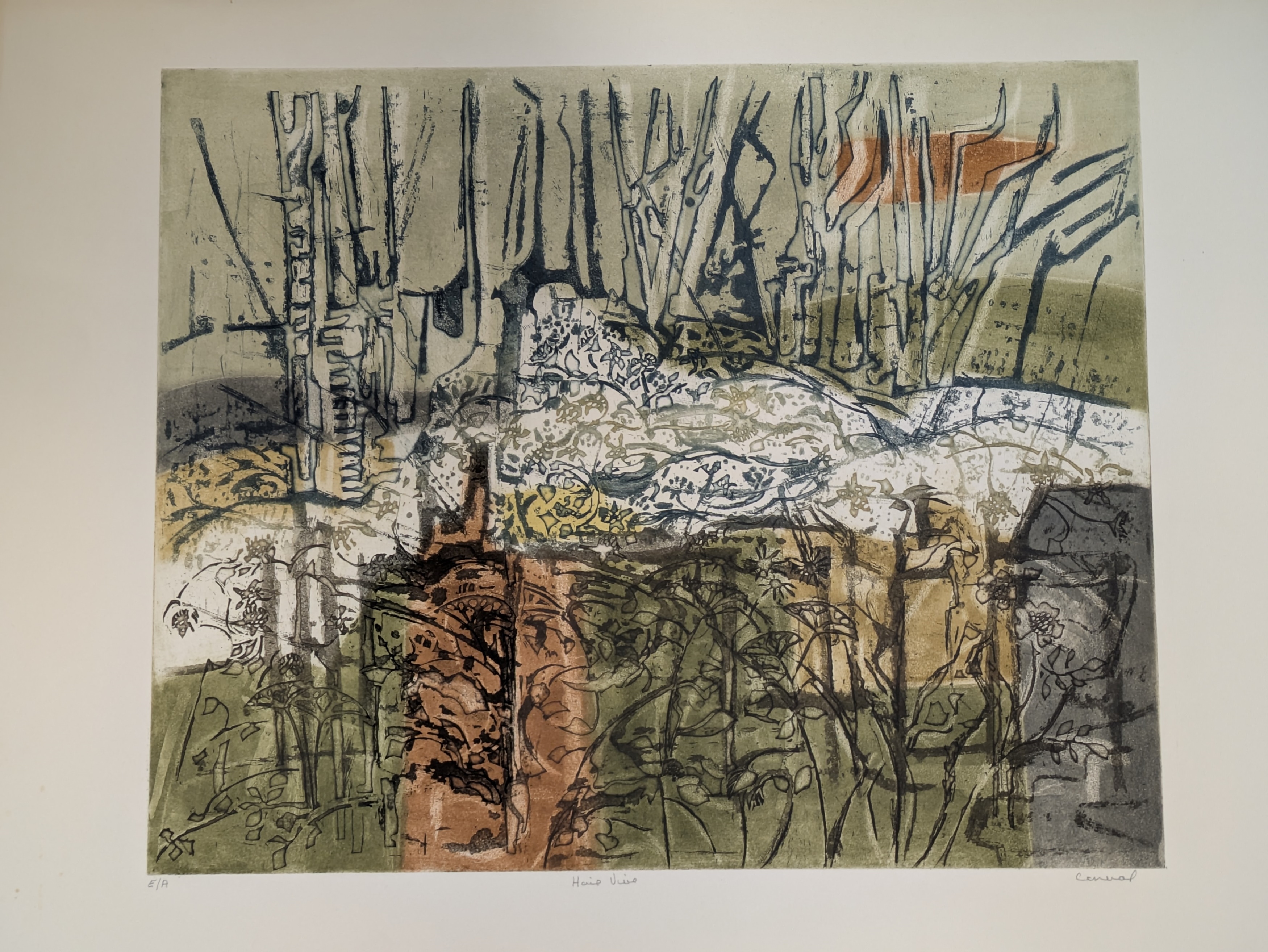 Betty Connal-Peebles | A collection of 11 signed in pencil etching and ...