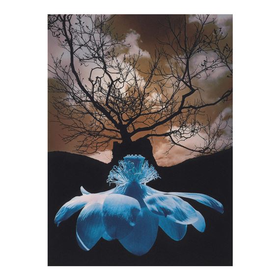 Jerry Uelsmann | Floating Tree (1969) | MutualArt