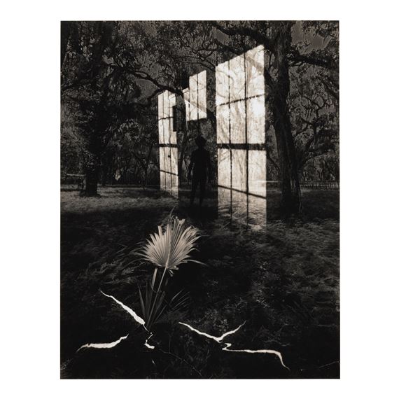 Jerry Uelsmann | Floating Tree (1969) | MutualArt