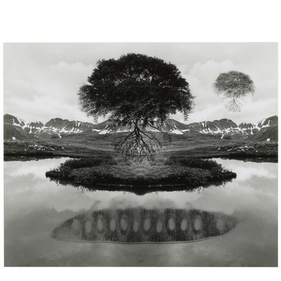 Jerry Uelsmann | Floating Tree (1969) | MutualArt