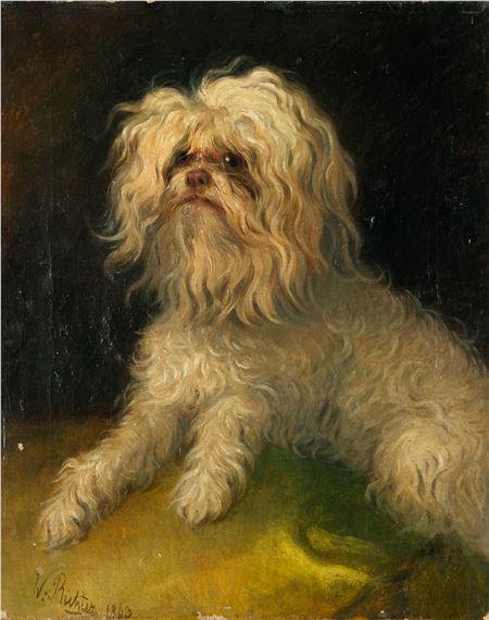 Wilhelm Richter | Malteser Hund (1863) | MutualArt