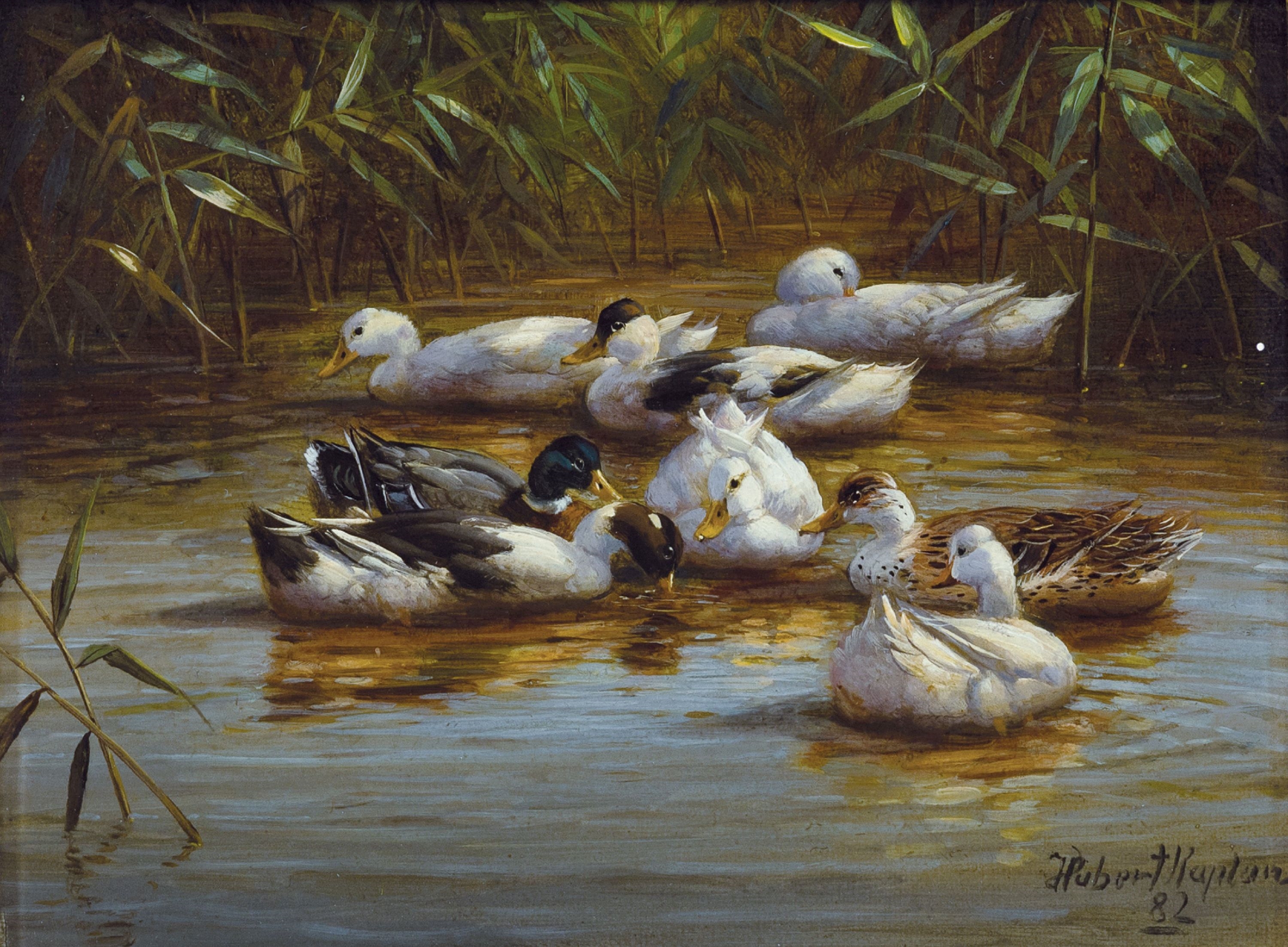 Hubert Kaplan | duck pond | MutualArt