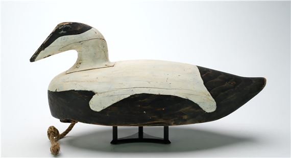 Millard Nice | Eider drake | MutualArt