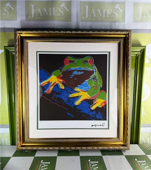 Andy Warhol | Frog | MutualArt