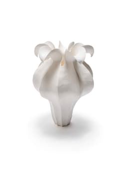 Astrid Dahl | Abstract botanical vessel (2009) | MutualArt