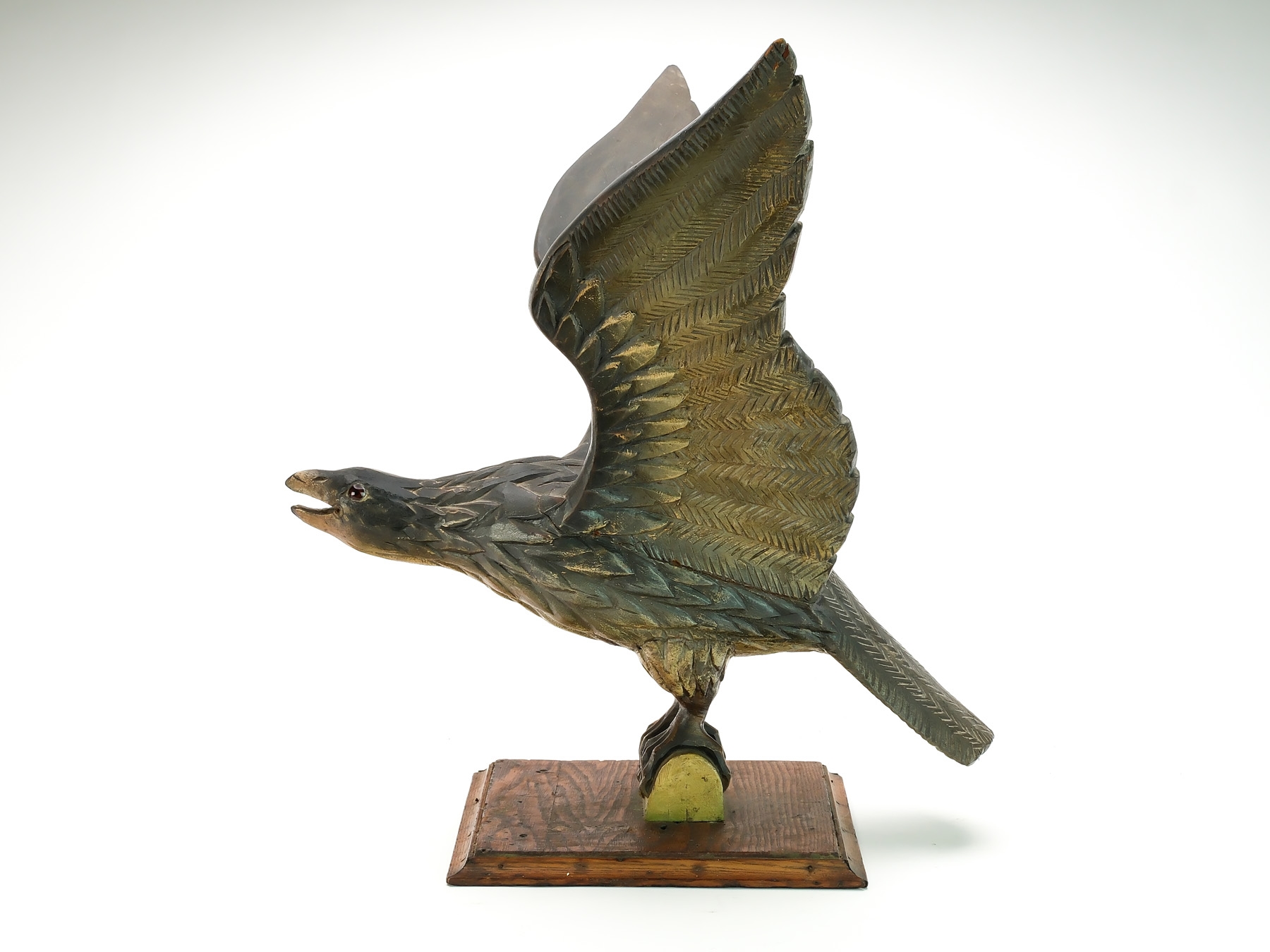 Joseph Romuald Bernier | Standing spread wing hawk or immature eagle ...