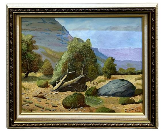 Lewis Crawford | Arizona Desert | MutualArt