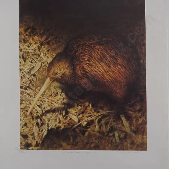 Raymond Harris Ching | Brown Kiwi in Moonlight | MutualArt