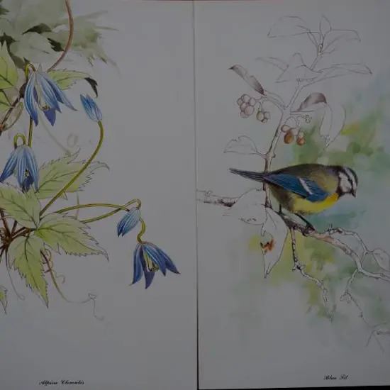 Randall Froude | Nature of Europe | MutualArt