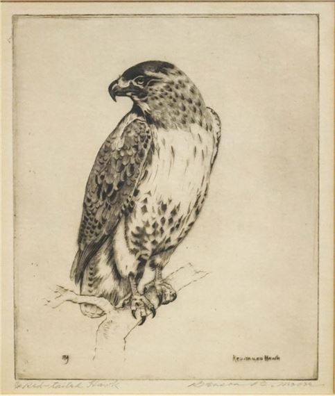 Benson Bond Moore | Red Tailed Hawk | MutualArt