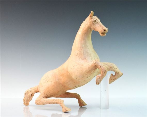 Xavier Carnoy | Cheval se cabrant | MutualArt