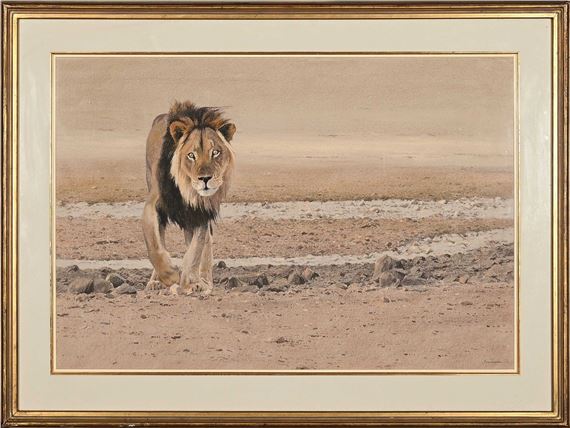 Kim Donaldson | Nomad Lion, Etosha | MutualArt