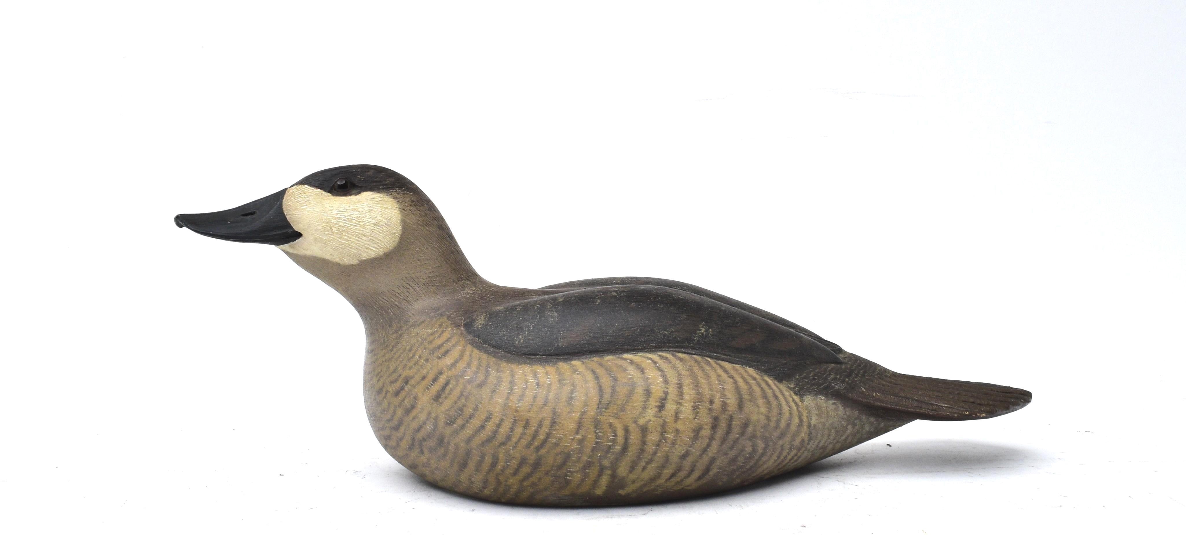 Charles C. Wargo | Decorative ruddy duck in a swimming pose (1971 ...