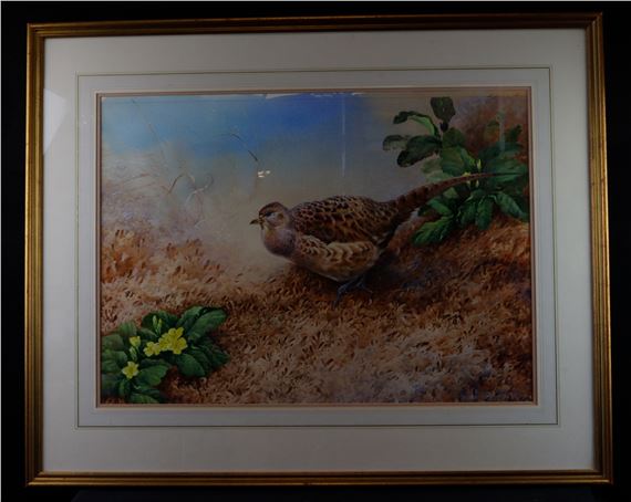 David Ord Kerr | depicting a female Pheasant | MutualArt