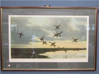 Peter Markham Scott | Mallard Alighting | MutualArt