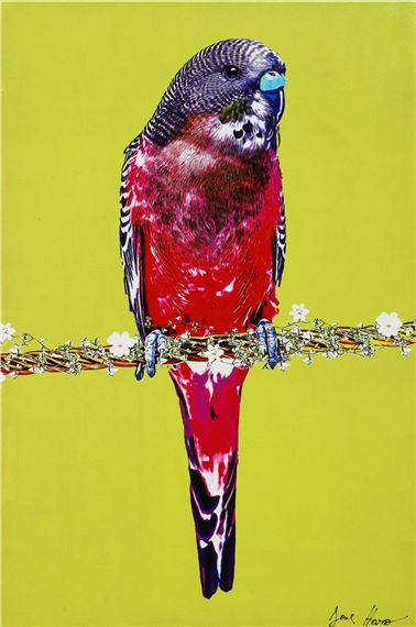 JOSE HARO | Pink Budgie (2024) | MutualArt