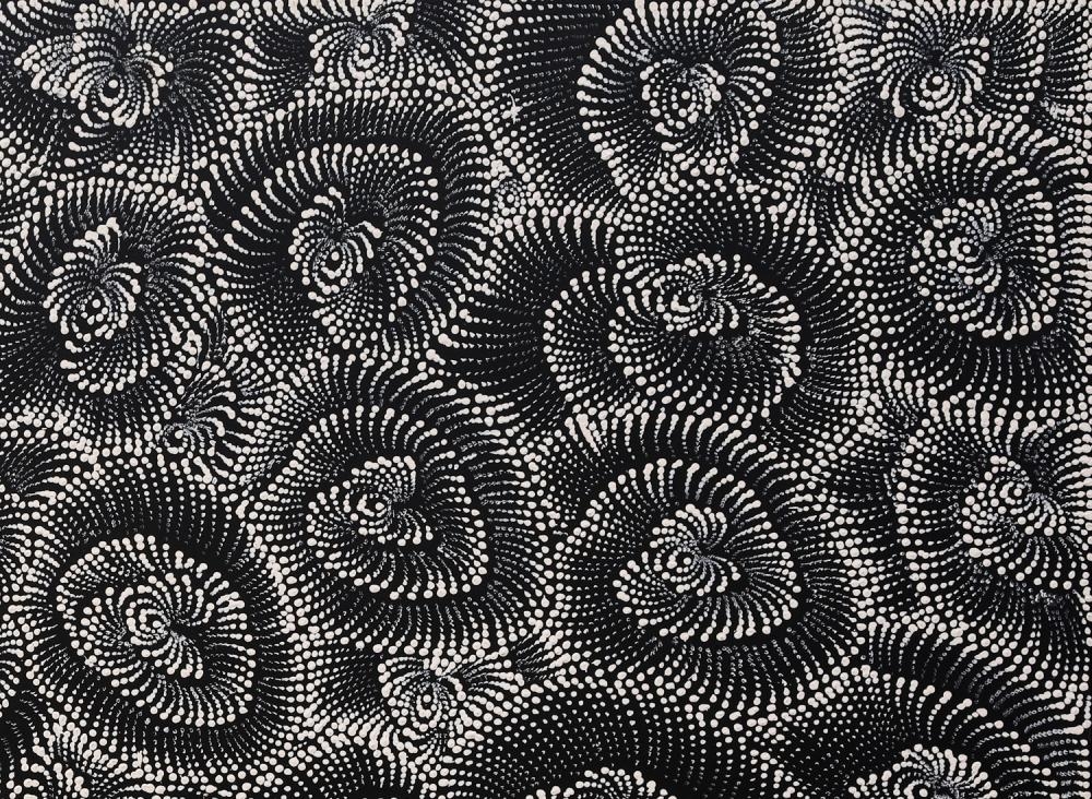 Maria Brown Nampitjinpa | Flying Ant Dreaming (2021) | MutualArt