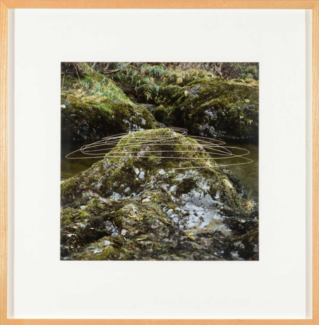 Andy Goldsworthy | Grass stalks joined drawing a tree (1990) | MutualArt