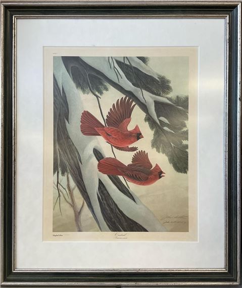 John Ruthven | Limited Edition John Ruthven “Cardinal” 20 1/2 x 16 1/2 ...