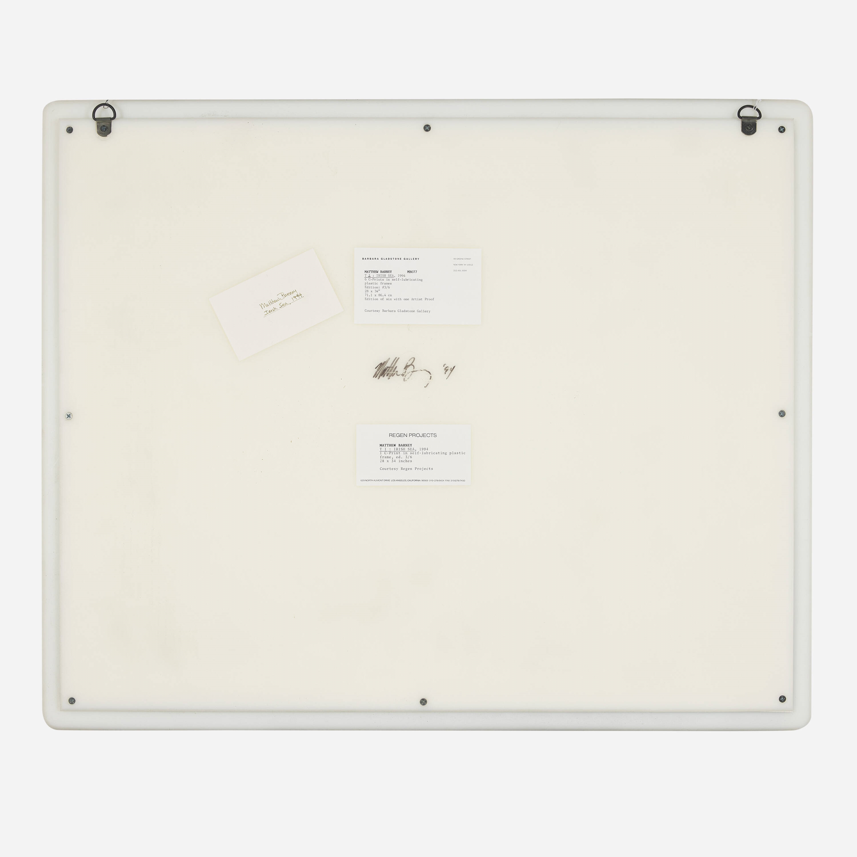 Matthew Barney | Irish Sea (1994) | MutualArt
