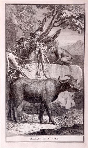 Peter Kolbe | 1 Artworks at Auction | MutualArt