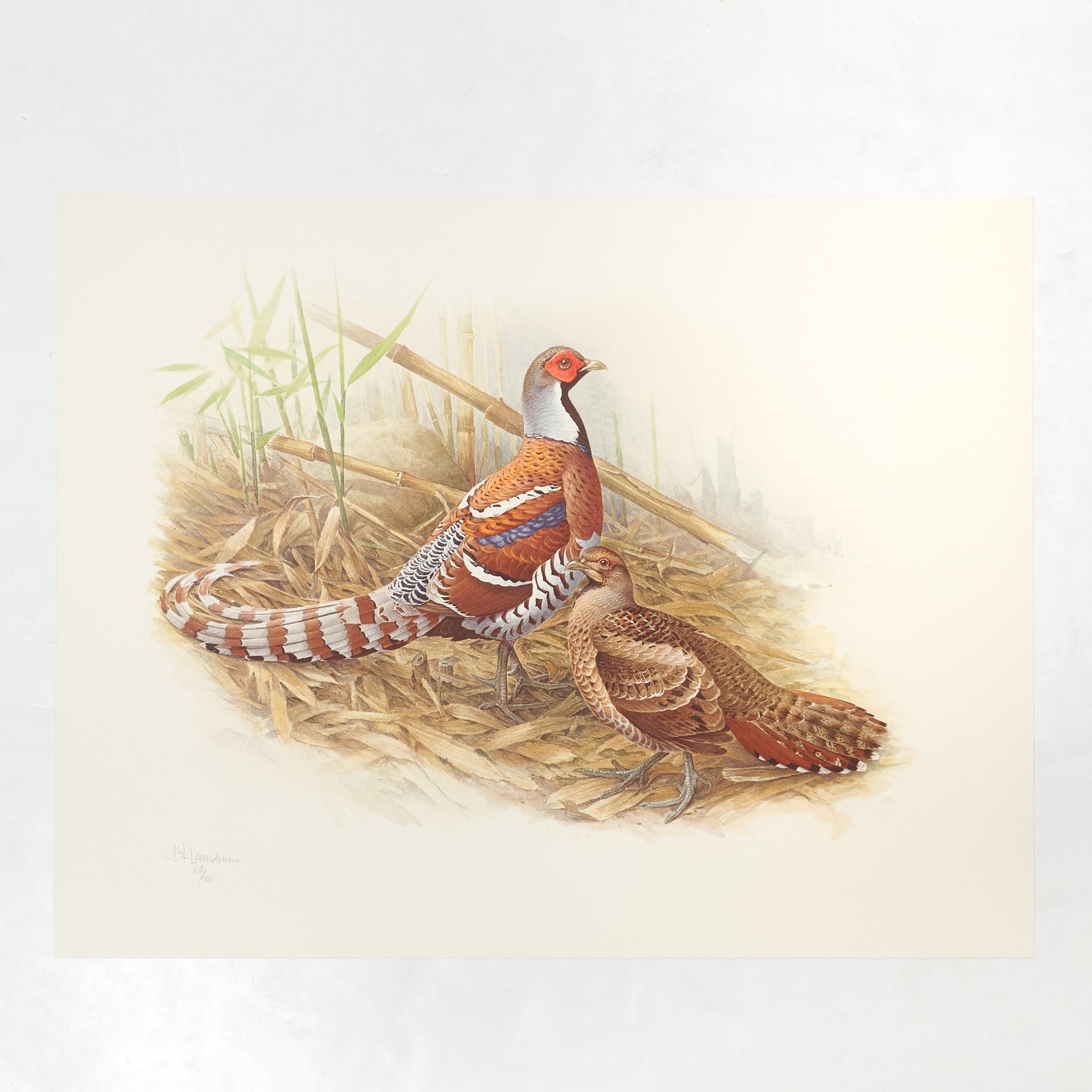 James Fenwick Lansdowne | The Rare Bird of China (1992) | MutualArt