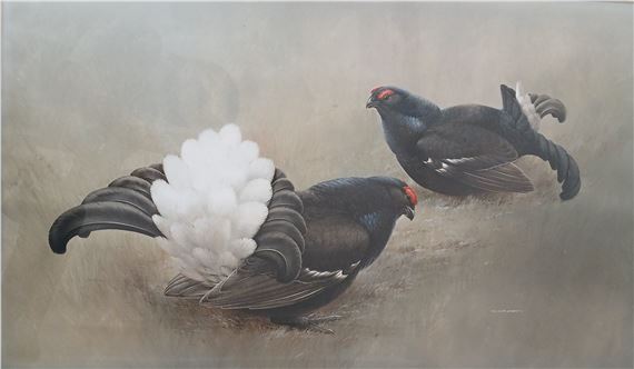 Raymond C. Watson | Black Game on the Lek | MutualArt